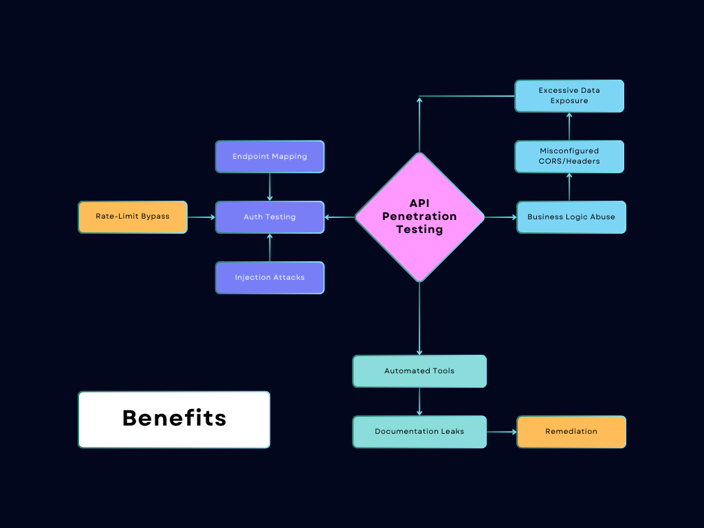 API Penetration Testing - E0XSECOPS